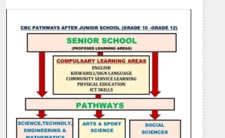 CBC Pathway for Senior secondary school